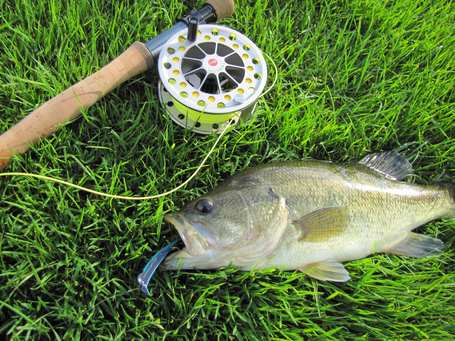 Best Bass Fishing Lures | Lucky Bug Lures